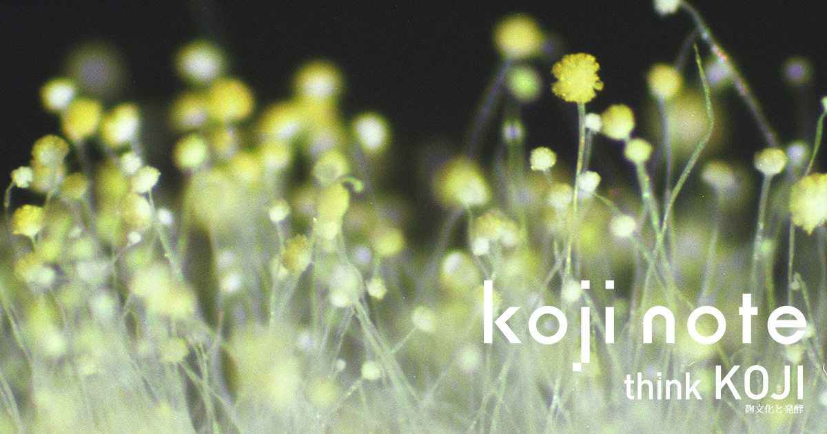 発酵食品をつくる微生物とは？｜think KOJI 麹文化と発酵｜koji note[三和酒類株式会社]