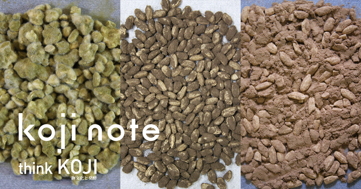 黄麹菌、黒麹菌、白麹菌って何が違うのですか？｜think KOJI 麹文化と発酵｜koji note[三和酒類株式会社]