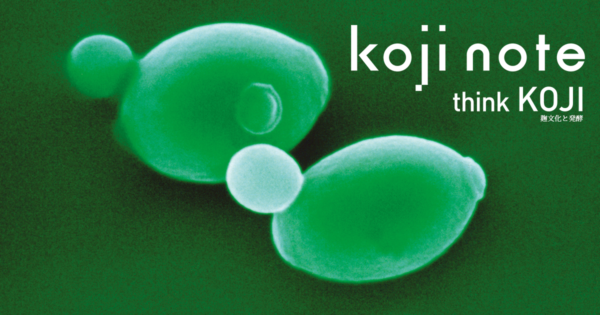 お酒づくりに使われる酵母にはどんな種類があるのですか？｜think KOJI 麹文化と発酵｜koji note[三和酒類株式会社]